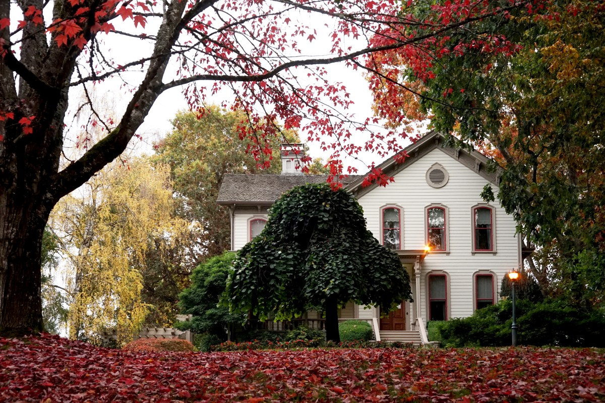 CONTACT – Welcome to the Bush House Museum