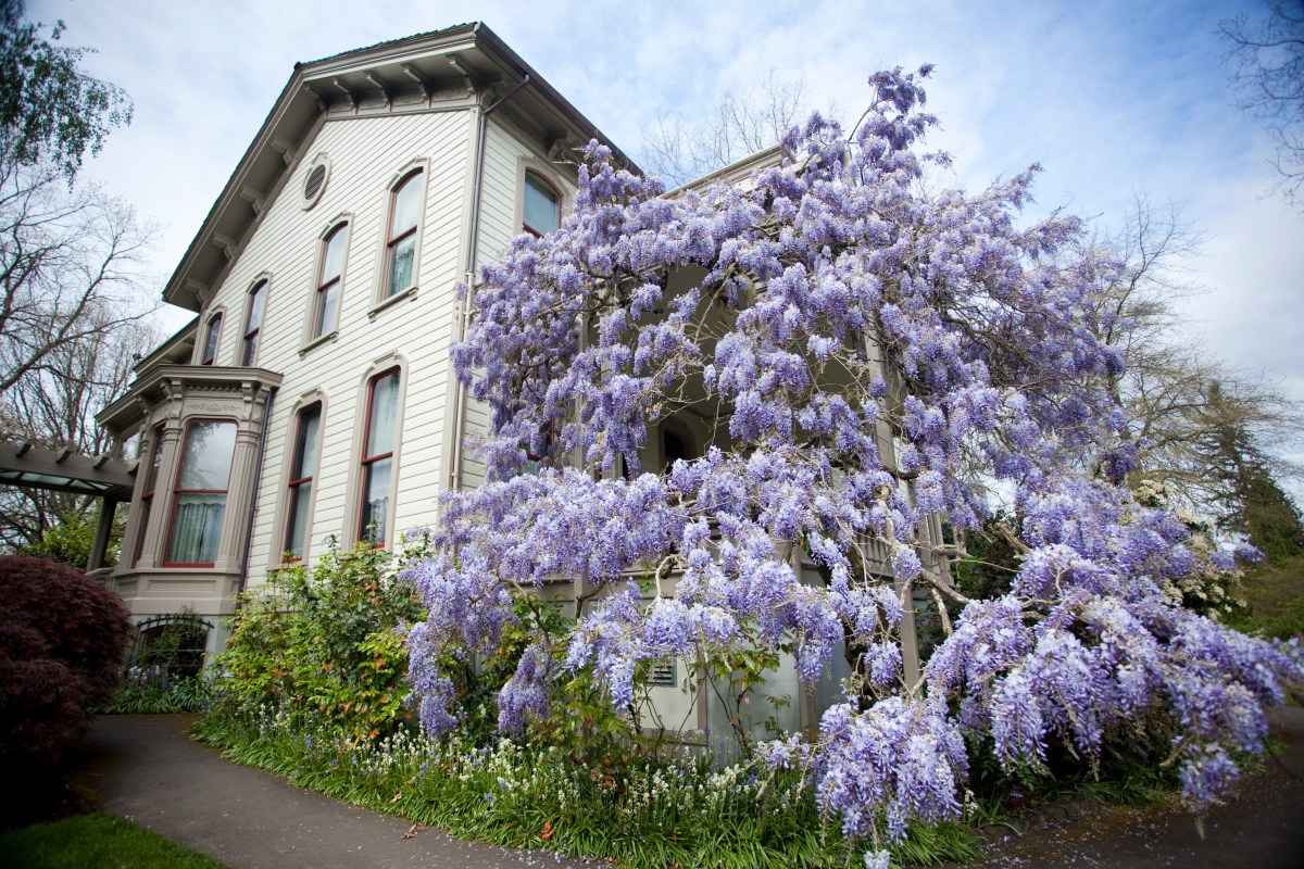 VISITOR CENTER – Welcome to the Bush House Museum